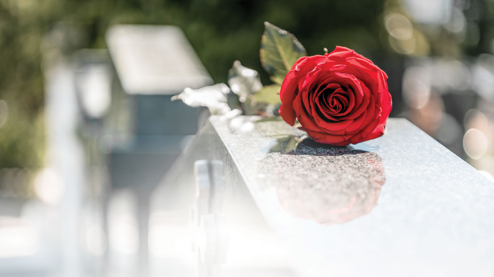 Omitted Spouse | Colorado Lawyer